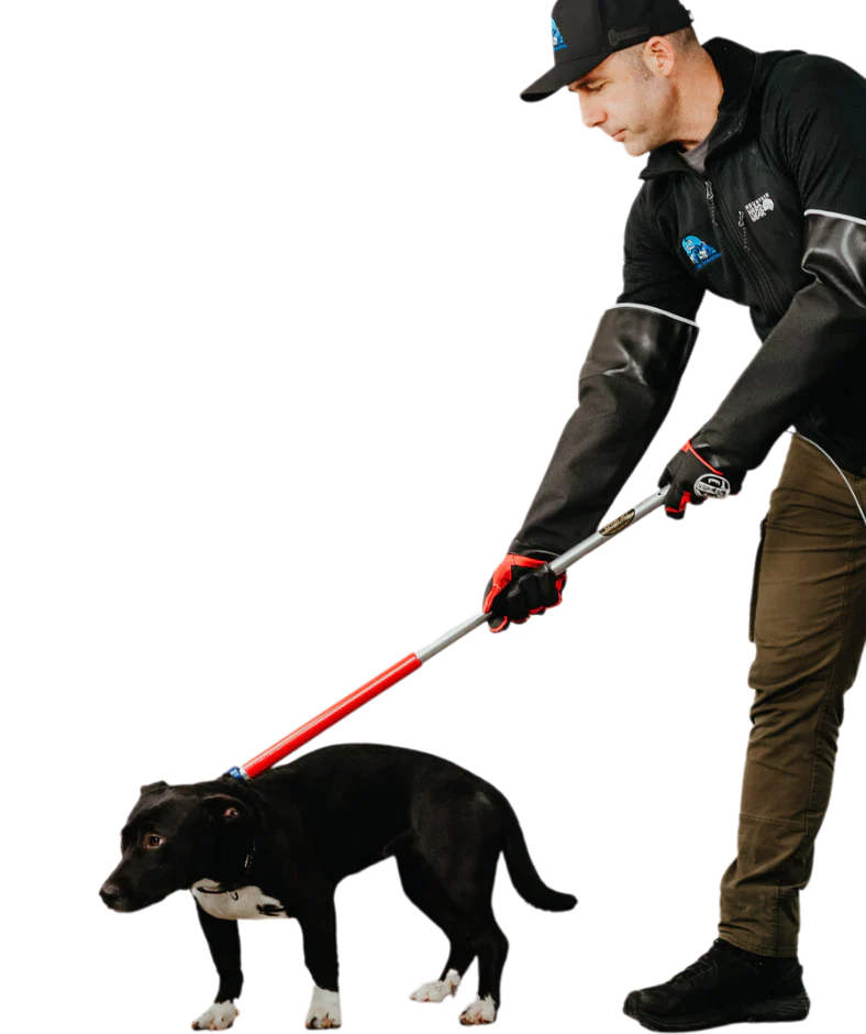Ketch-All – Humane Innovations