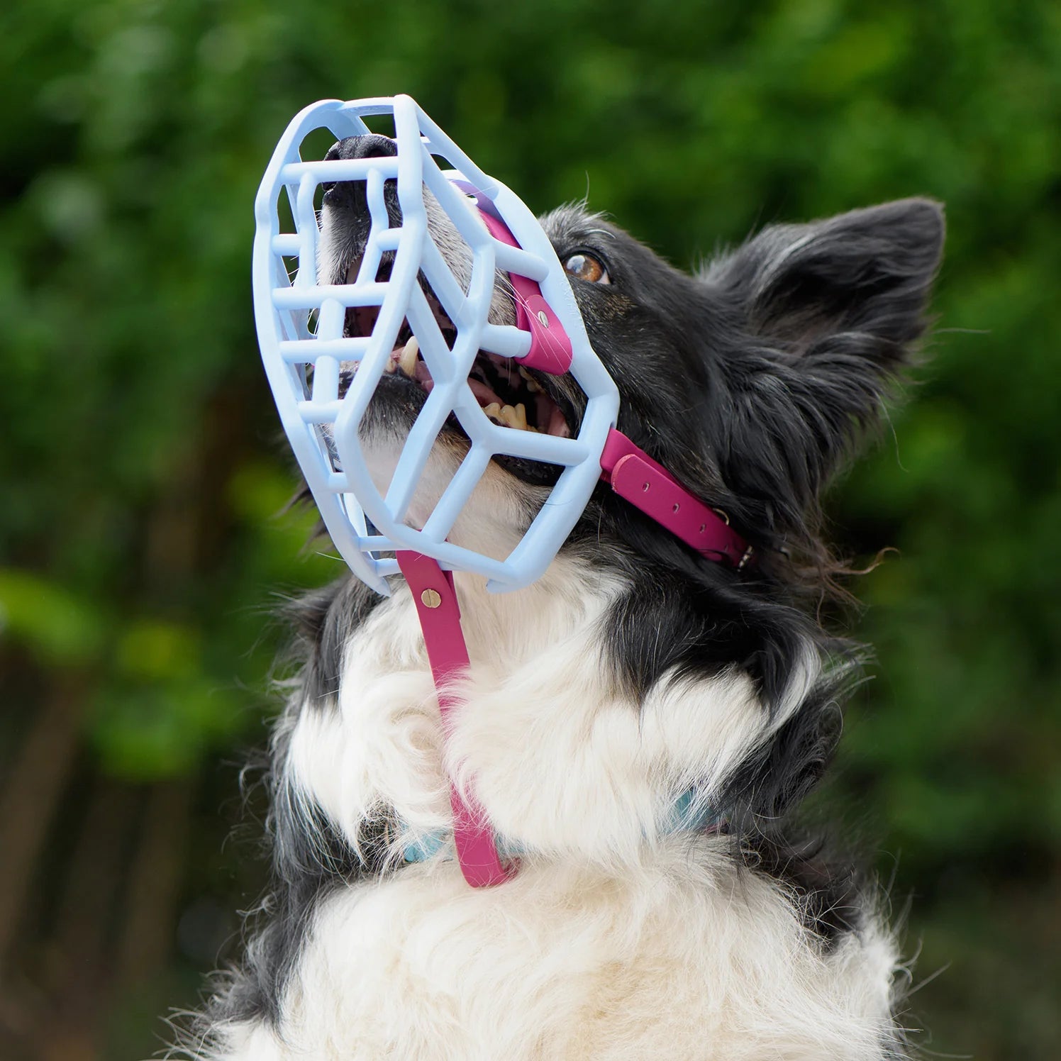 Chin Loop – Humane Innovations