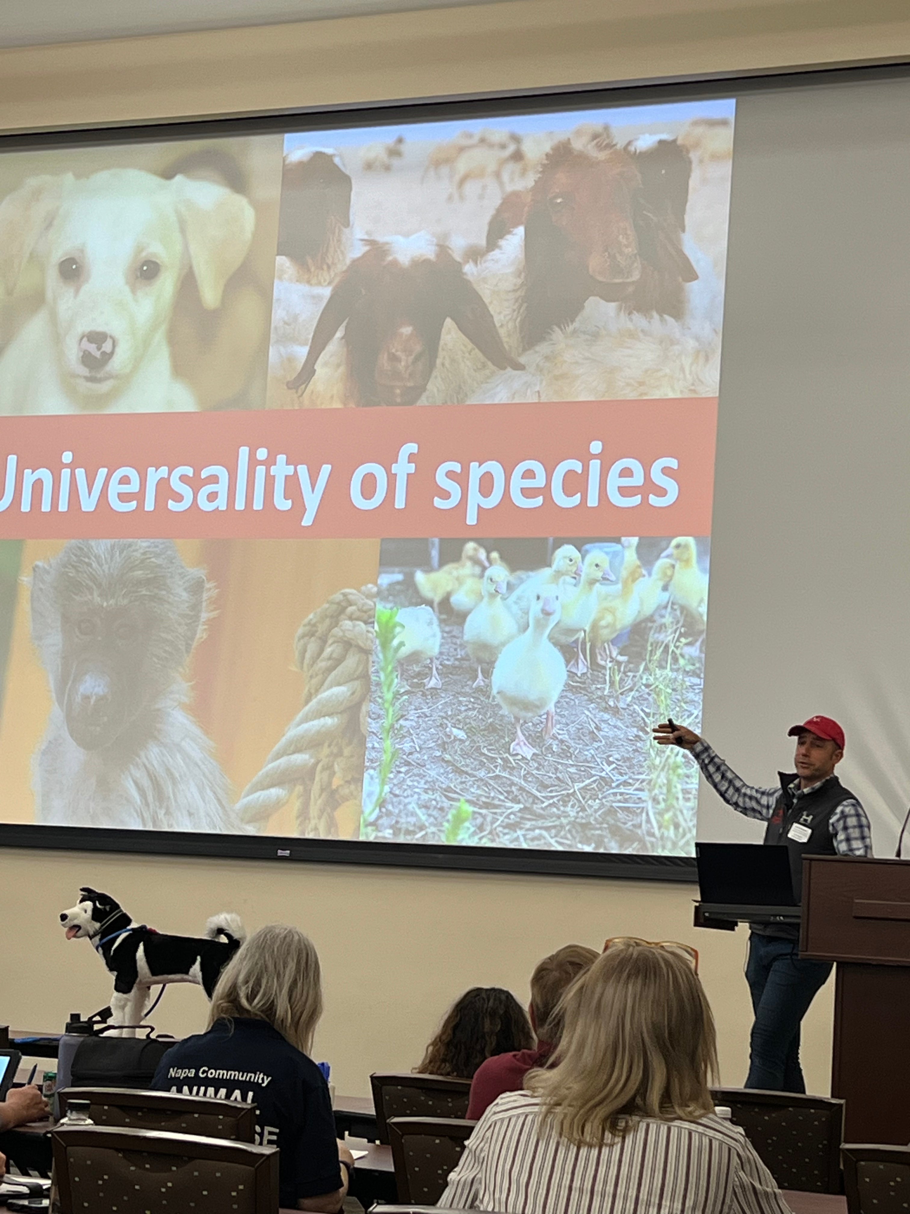 Training – Humane Innovations